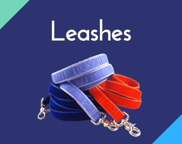 Leashes